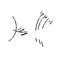 Bridges Line | McMaster University Library